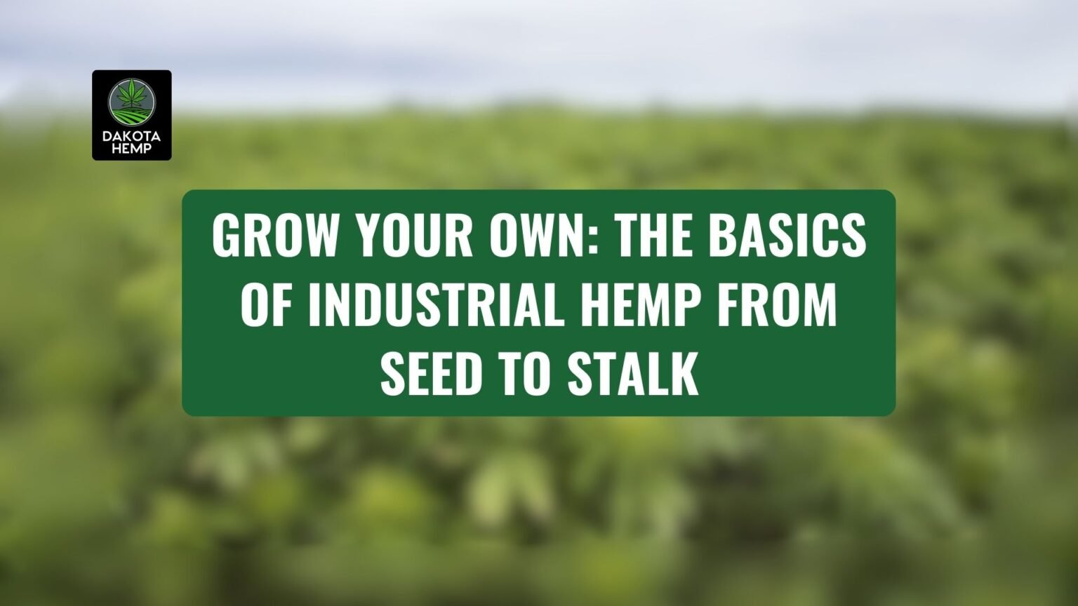 Industrial Hemp Education | Planting, Grain & Fiber Guide