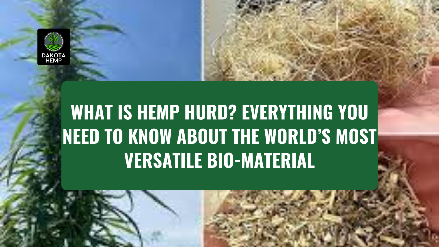 What is Hemp Hurd? Uses, Benefits & Science | Dakota Hemp